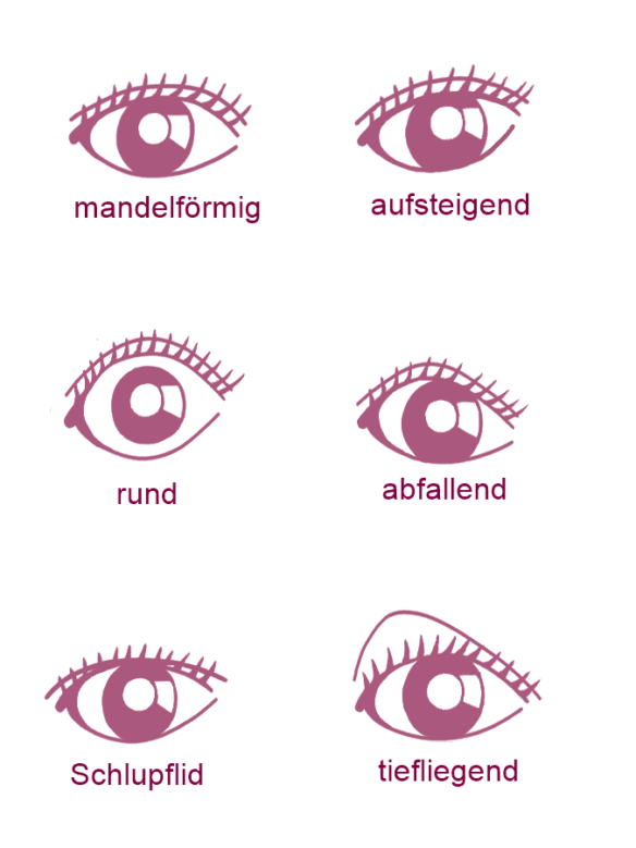 Augen schminken » Schminktipps für ALLE Augenformen